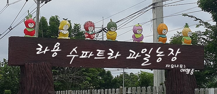 파타야 여행 라용 수파트라 과일농장 수파트라랜드~~ 네이버 블로그