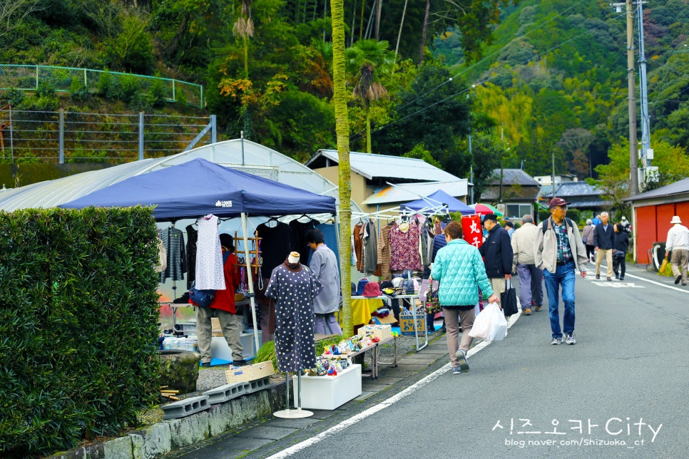 시즈오카시 마리코 한 달에 한 번 열리는 네이버 블로그