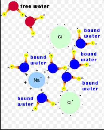 [수분] 자유수와 결합수 (Water in the food can be either free or bound.) : 네이버 블로그