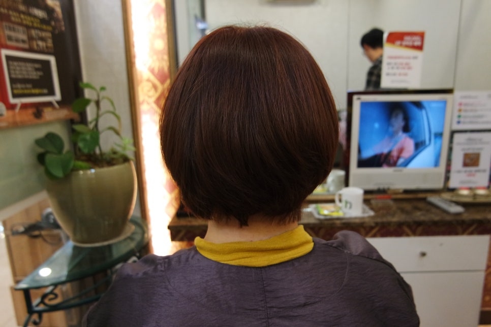 청주 성안길 헤어 에비수헤어 성안점에서 기분전환 완료 네이버 블로그