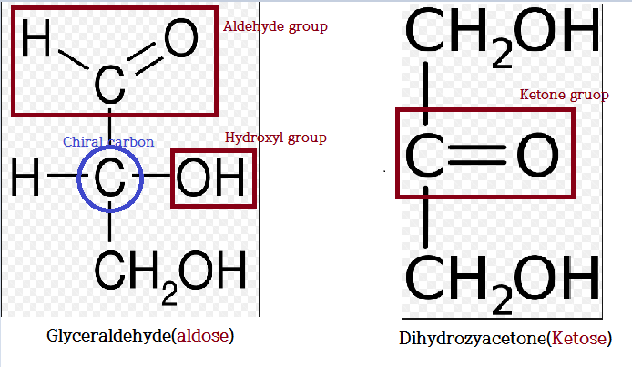 [탄수화물] 단당류-1. 단당류의 구조와 명명법 : 네이버 블로그