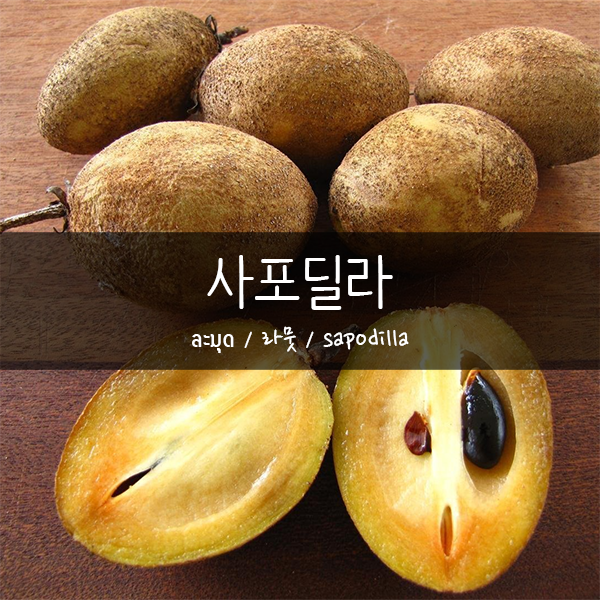 태국 생활정보 태국의 열대과일을 파헤쳐보자 1탄 이런 열대과일 들어는봤니 사포딜라 랑사트 토디팜 용안 잭푸르트