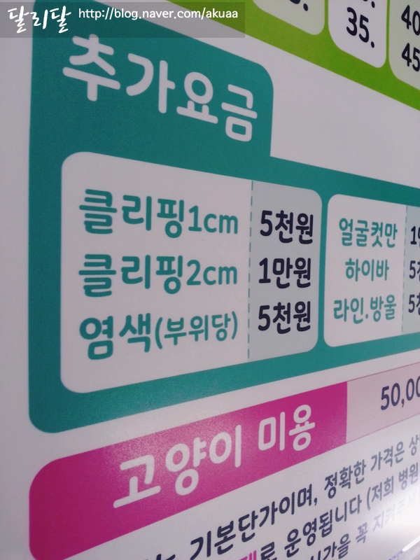 인쇄물 제작홍보스티커달리달 네이버 블로그