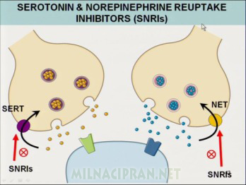 SNRI(세로토닌-노르에피네프린 재흡수 억제제) : 네이버 블로그