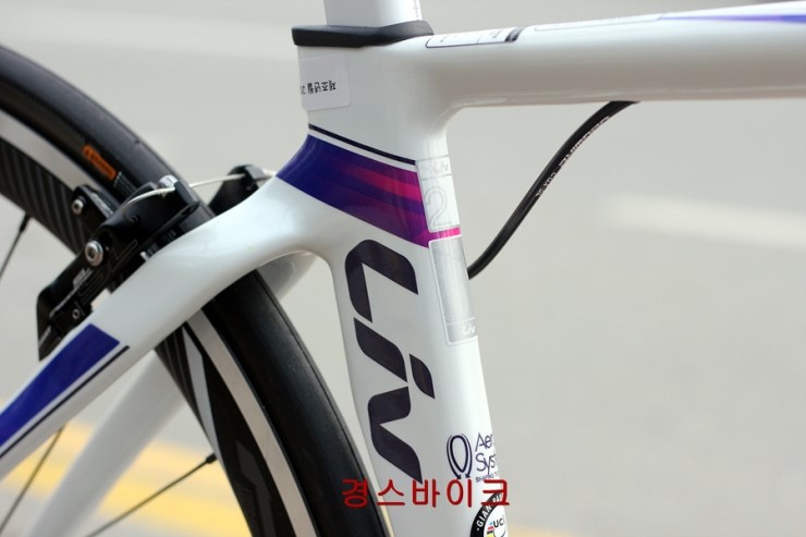 2018 자이언트 리브 엔비 어드밴스 2 출시~ 네이버 블로그