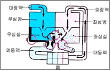 팔로 4징과 팔로 3징 Tetralogy of Fallot and Trilogy of Fallot – Dr. John ...