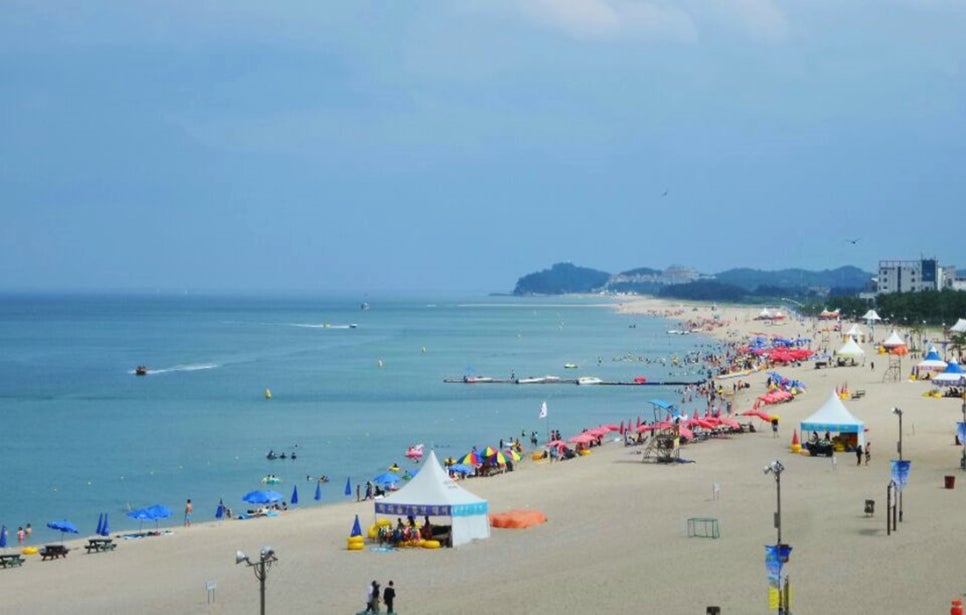 낙산해변 자연산 머구리투어 Round 2낙산해변 부연동길 낙산사 설곡임도 네이버 블로그