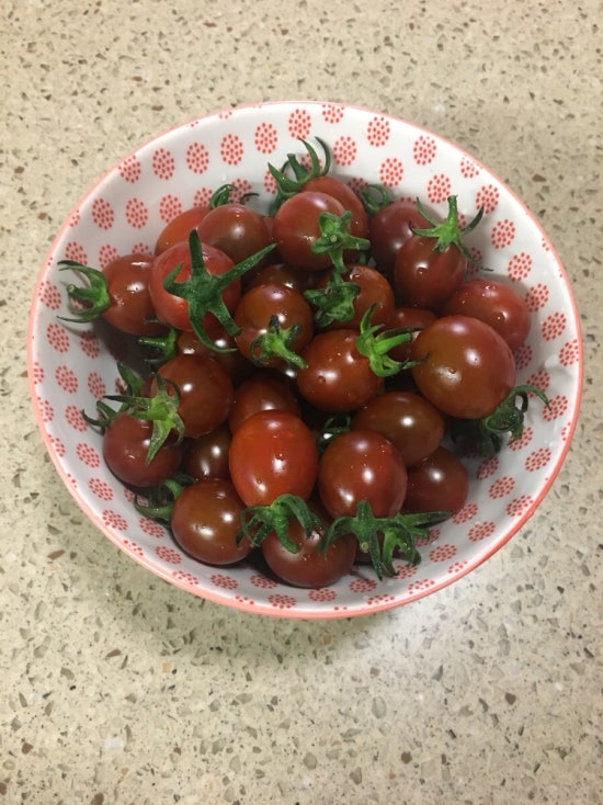 마켓후기 완숙토마토 블루베리 흑방울토마토가 정말 맛있는 마켓레이지헤븐marketlazyheaven 마레헤 후기