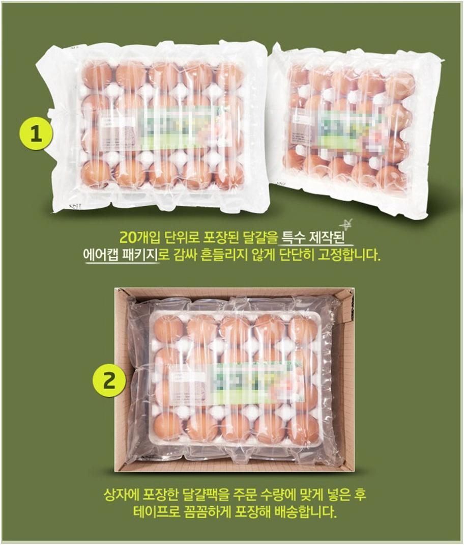 계란포장 에어팩 인디스에어 폴팩 에어셀 에어쿠션 계란포장 계란택배 완충재 뽁뽁이 Pe폼 네이버 블로그