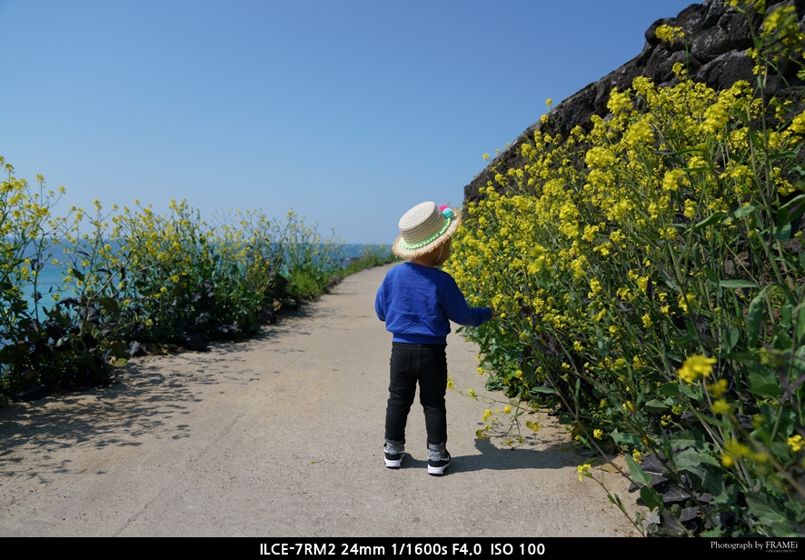 제주도여행사진 라온프라이빗 기절했던 날 : 네이버 블로그