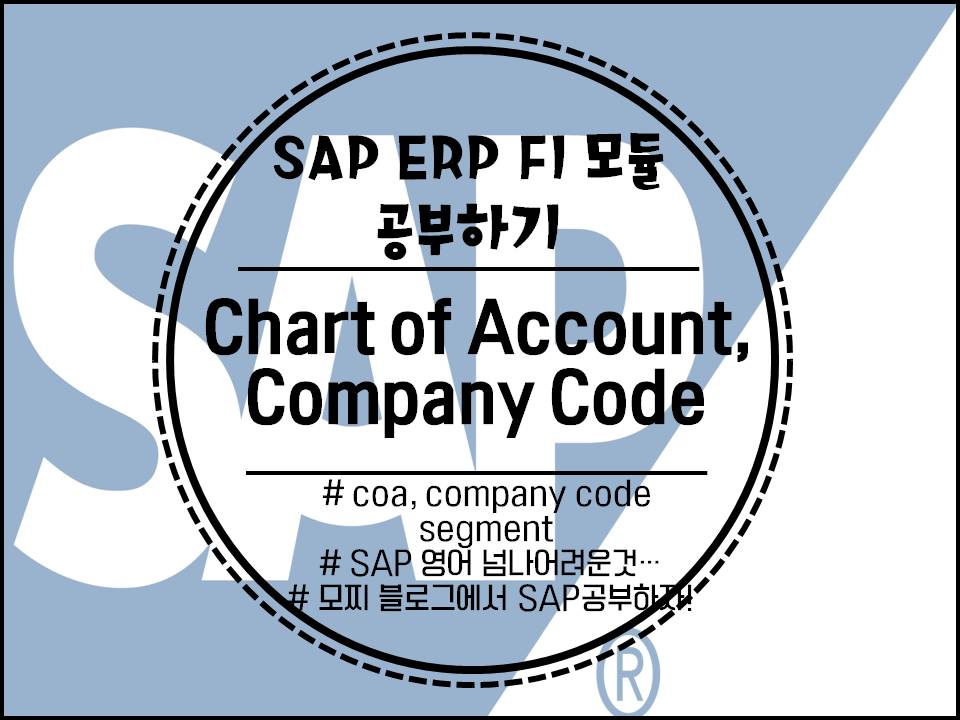 SAP ERP FI공부하기: COA ( Chart of Account : 계정과목표) COA Segment , Company ...