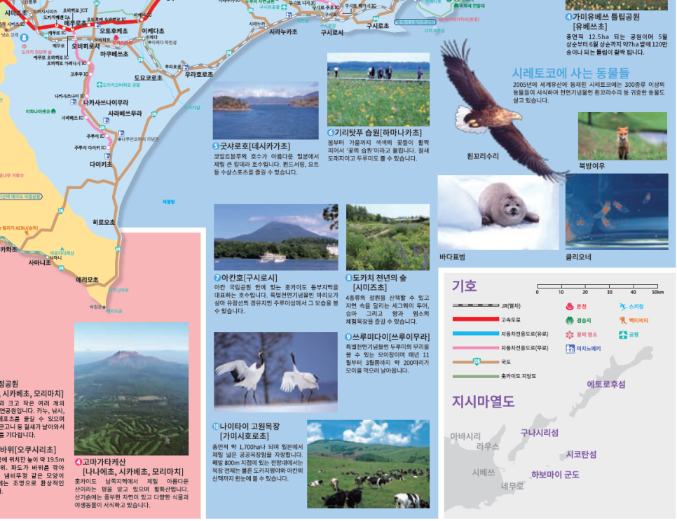 해피네코의 봄봄봄 : 네이버 블로그