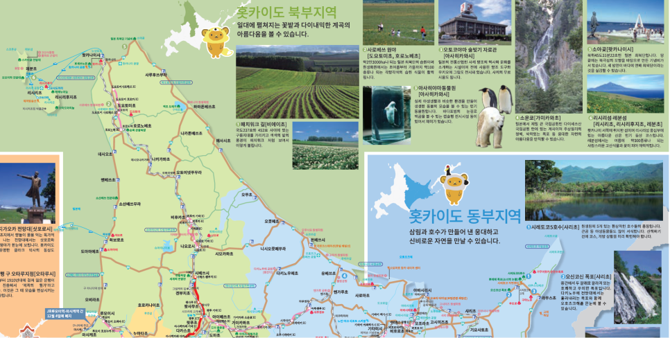 해피네코의 봄봄봄 : 네이버 블로그