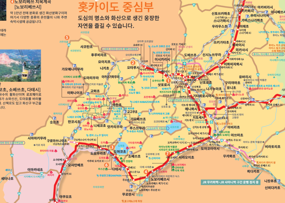 해피네코의 숲숲라이프 : 네이버 블로그