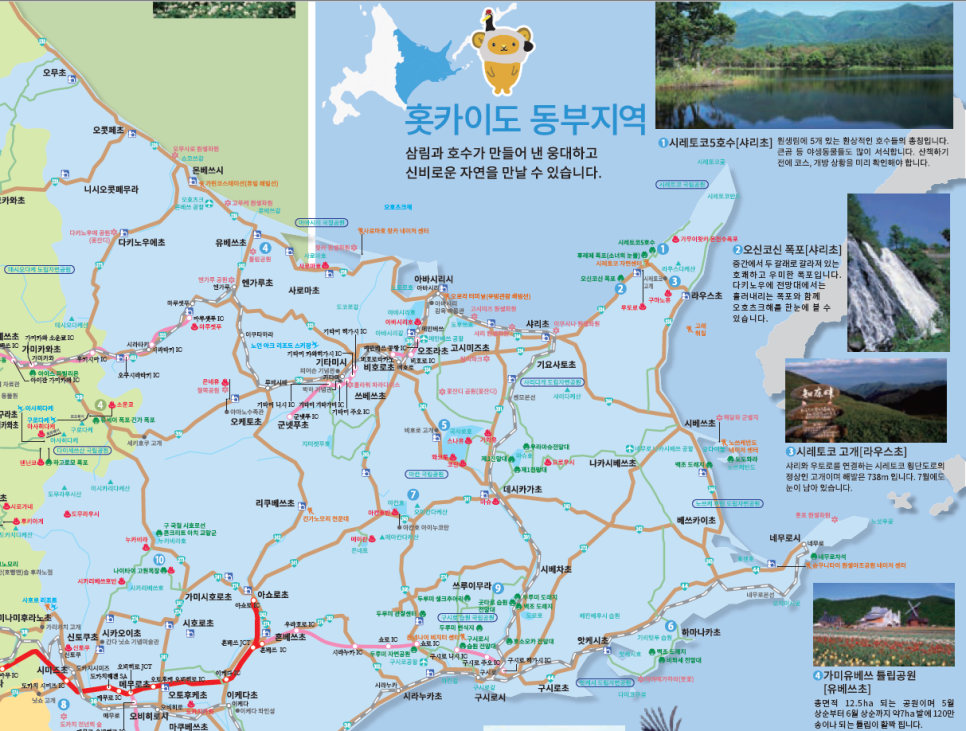 해피네코의 봄봄봄 : 네이버 블로그