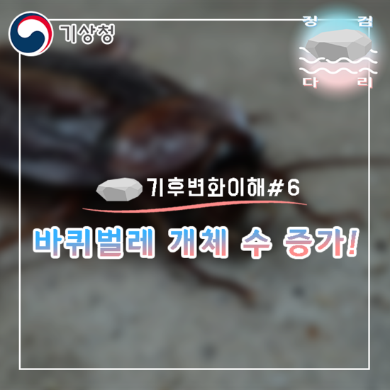 기후변화로 인해 바퀴벌레 개체 수 증가 기후변화이해6 징검다리 기상청 대학생 지역기후변화알림이 네이버 블로그