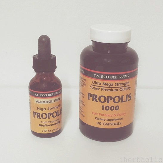 아이허브 추천상품 베스트 프로폴리스 Y.S. Eco Bee Farms, 프로폴리스 1000 : 네이버 블로그