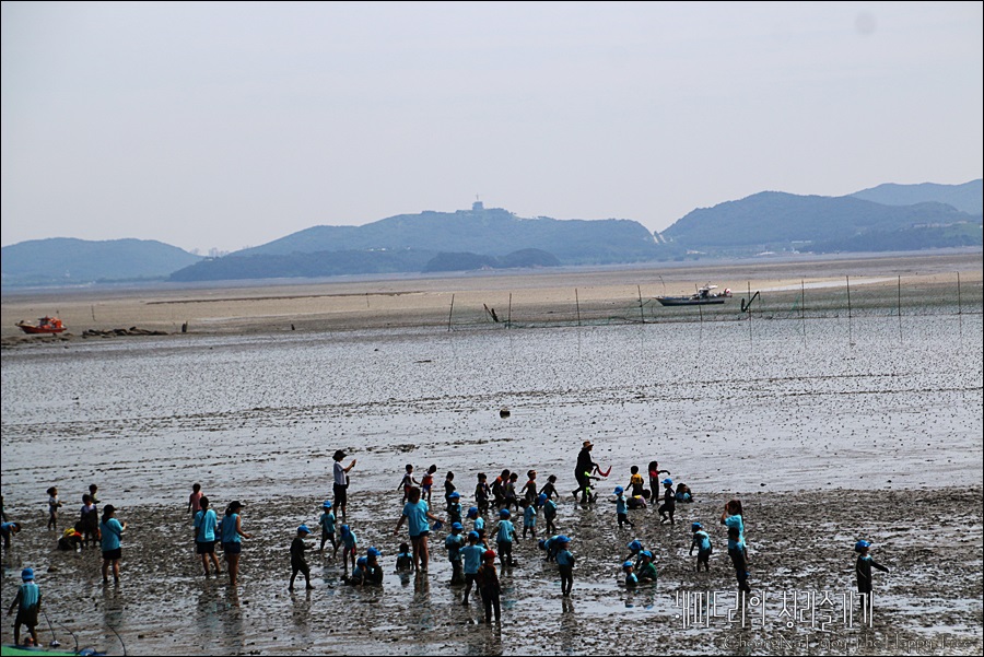 강화도 해수욕장 동막해수욕장 텐트 요금 야영장 네이버 블로그