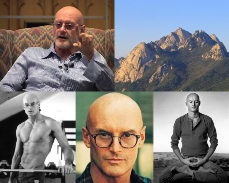 켄윌버 사상의 핵심 5가지 / 스펙트럼 / 하이어라키 / 범주오류 / 전초오류 / 전위전사분면 / 사상한 용어의 오류 ...