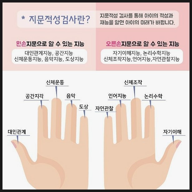다중지능 지문적성검사 우리아이 기질과 성향 제대로 알기 네이버 블로그