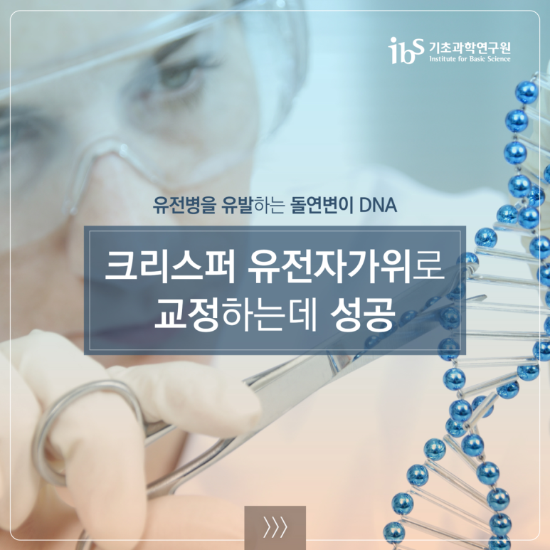 크리스퍼 유전자가위로 유전병을 유발하는 돌연변이 Dna 교정 성공 네이버 블로그