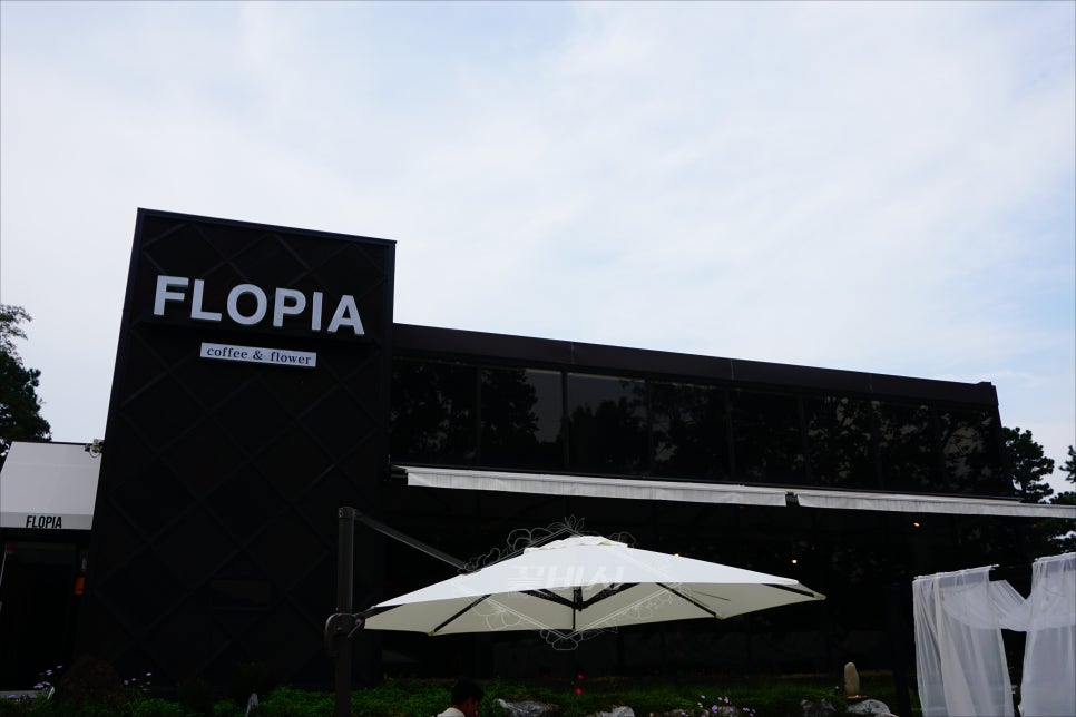 청주 카페 플로피아(FLOPIA) 한번만! : 네이버 블로그