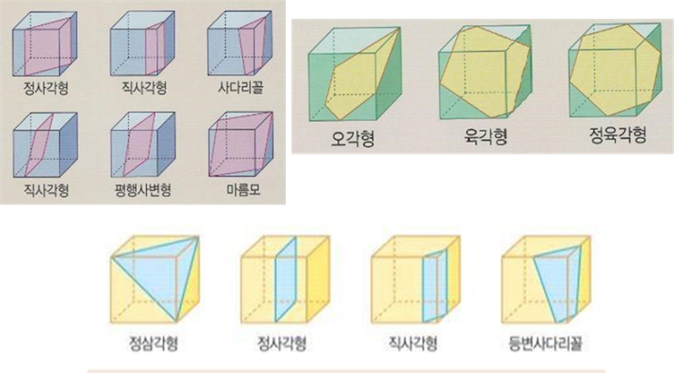 입체도형을 자를 때 생기는 단면의 모습 : 네이버 블로그