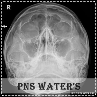 PNS Series : 네이버 블로그