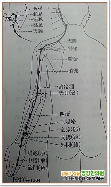 관충혈 외관혈 수소양 삼초경의 대표 혈자리 네이버 블로그