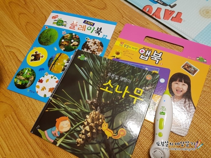 스마트 쫑알이 자연관찰 후기 둘러보기 8세 자연관찰 연두비 스마트 쫑알이로 궁금증 해결~ 푸른빛 멋쟁이 소나무토보살