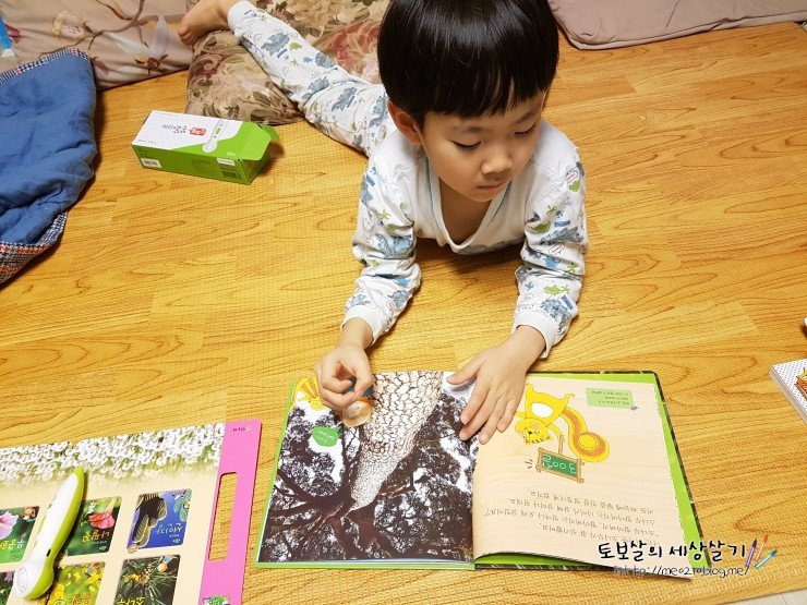 스마트 쫑알이 자연관찰 후기 둘러보기 8세 자연관찰 연두비 스마트 쫑알이로 궁금증 해결~ 푸른빛 멋쟁이 소나무토보살