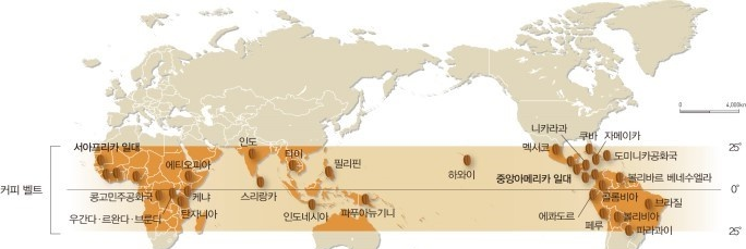 커피 생산국 커피 원두 재배 부터 수확의 과정 네이버 블로그