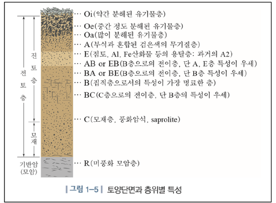 토양학관련 이미지 모음1 토양단면과 층위별특성 네이버 블로그