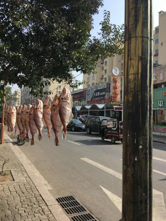 청도칭다오패키지 1일차 칭다오맥주박물관 칭다오맥주 맥주박물관 네이버 블로그