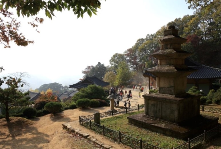 영주 소백산자락길 11코스 길 여행 네이버 블로그