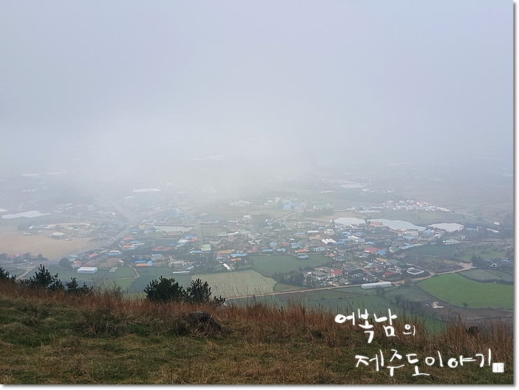 제주도 금악오름 금오름 검은오름 차로 정상까지 오를수 있는 오름 네이버 블로그