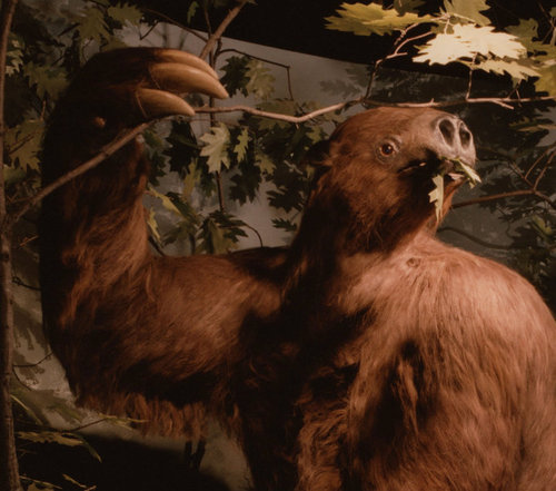 SCP-1405 - 거대한 선사시대 나무늘보 : 네이버 블로그