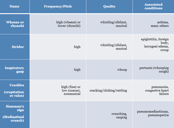 breath sound differential : 네이버 블로그