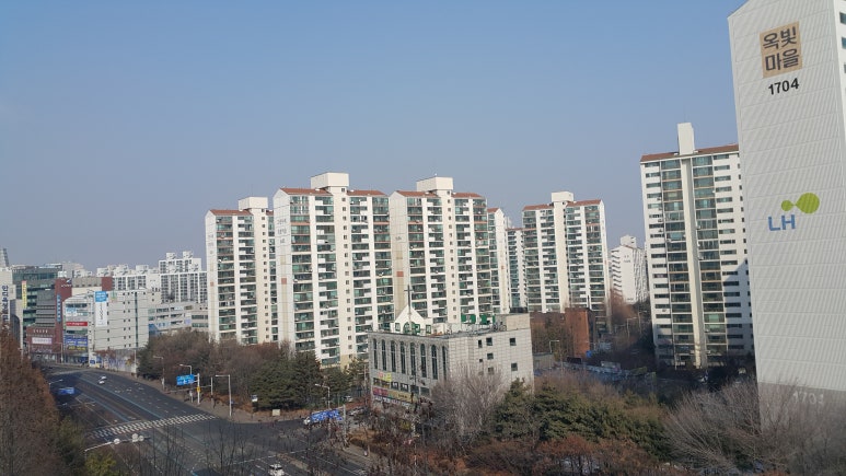 화정동아파트 화정동 옥빛마을 16단지 주공아파트 현황화정동부동산매매전세월세시세 네이버 블로그