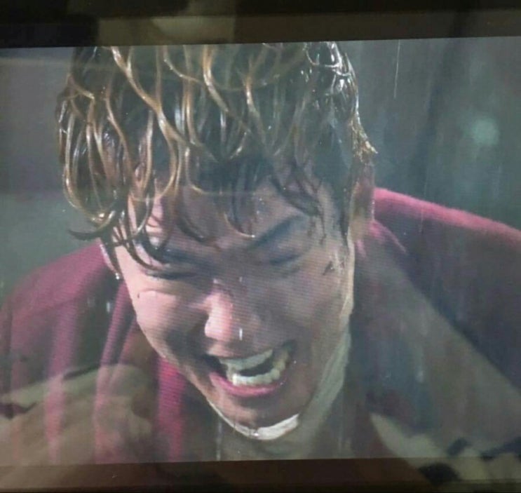 짜장면 배달하다가 사고남 : 네이버 블로그