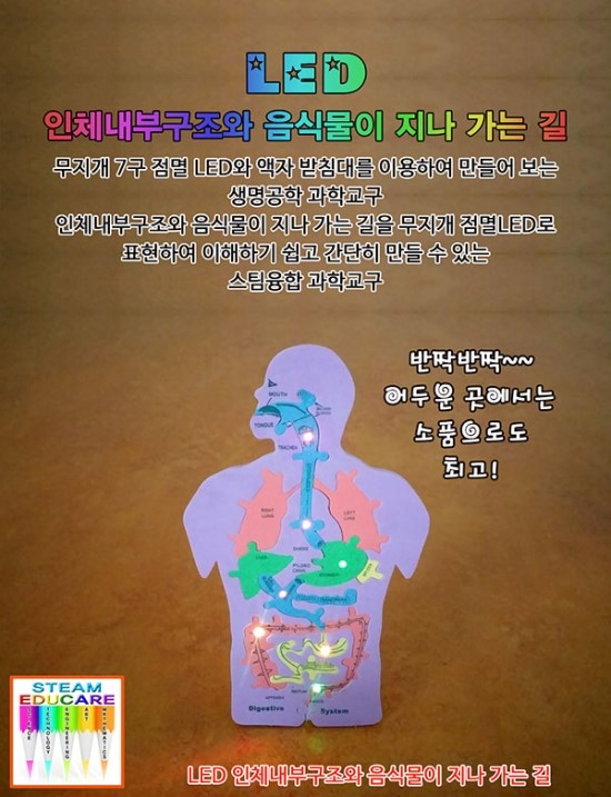 Led인체내부구조인체내부인체내부구조탐구과학만들기키트실험창작방과후 사이언스업 네이버 블로그