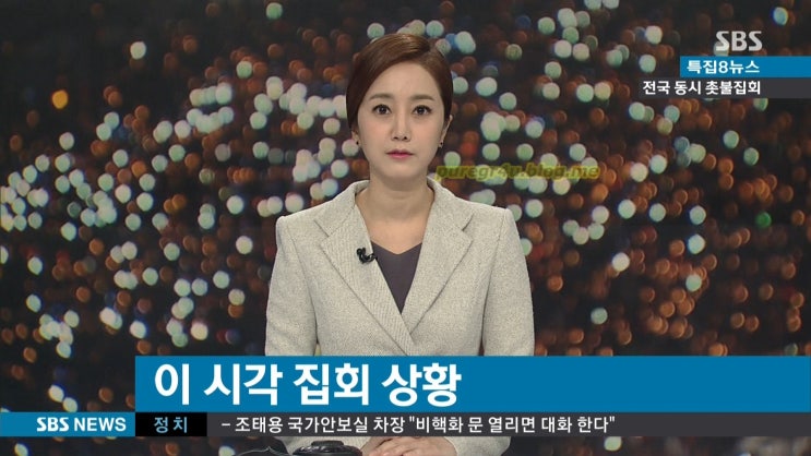 SBS 이혜승 아나운서 - SBS 8 뉴스 (2016년 11월 19일) : 네이버 블로그