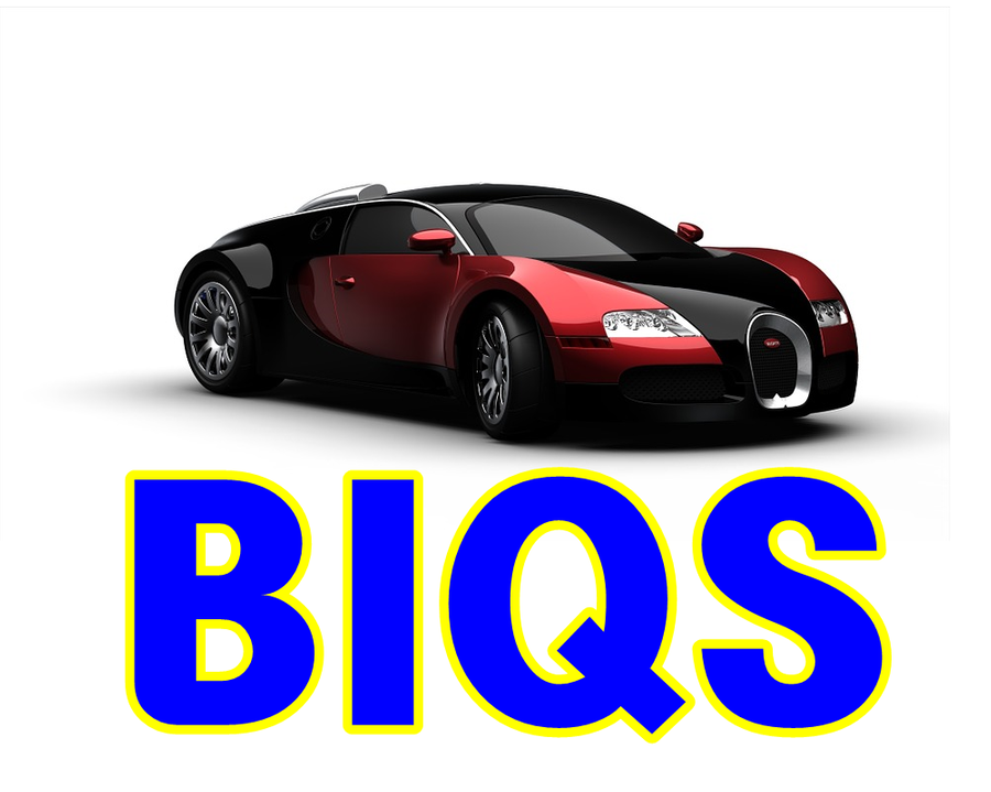 BIQS시스템 29가지 전략은 어떤것일까.. : 네이버 블로그