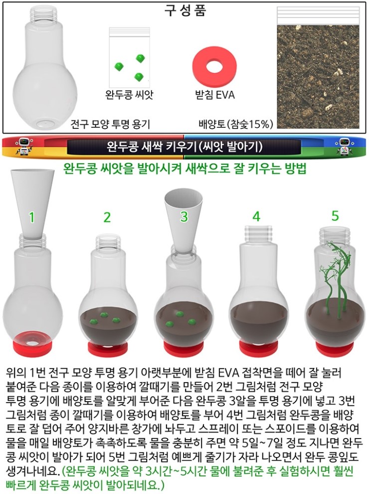 완두콩키우기 새싹키우기 식물기르기 만들기 자연 학습 씨앗발아기 교구 교재 만들기 스팀사이언스스팀과학