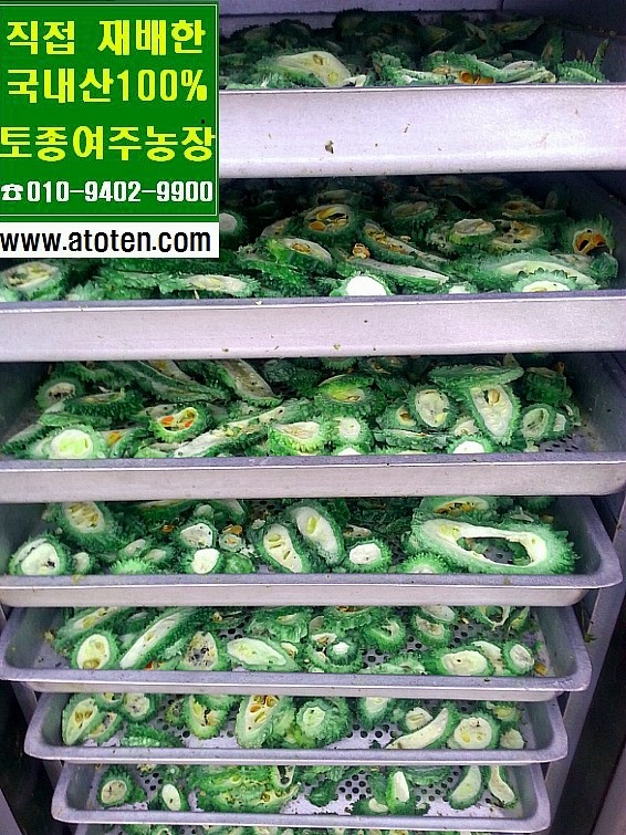 생여주 효능★생여주 판매 생여주 파는곳 생여주 먹는방법 생여주 요리 생여주 보관법 네이버 블로그