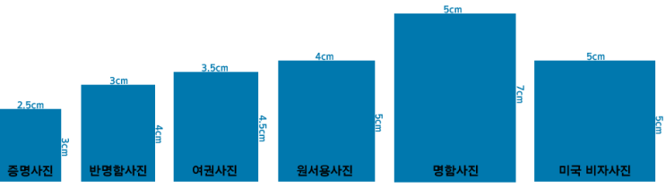 반명함판 사이즈 반명함 사진 크기 네이버 블로그