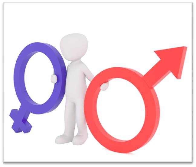 태아 성별 확인시기 시기별로 정리 네이버 블로그