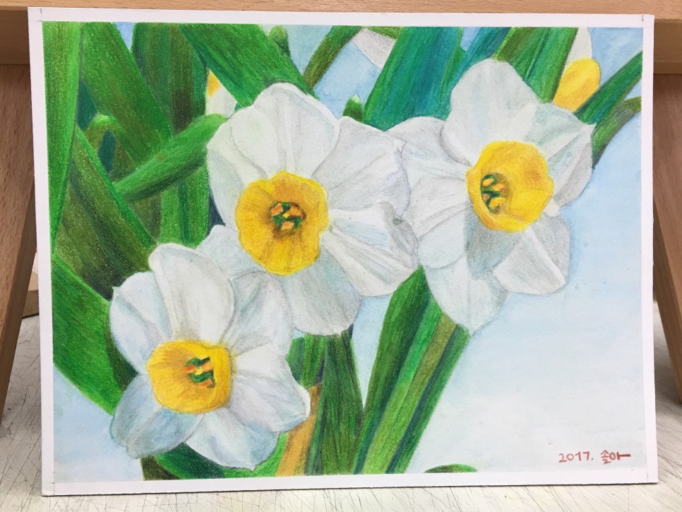 색연필화 색연필 그림 색연필 드로잉 색연필화 그리는 방법봄꽃 그리기 수선화 그리기 네이버 블로그