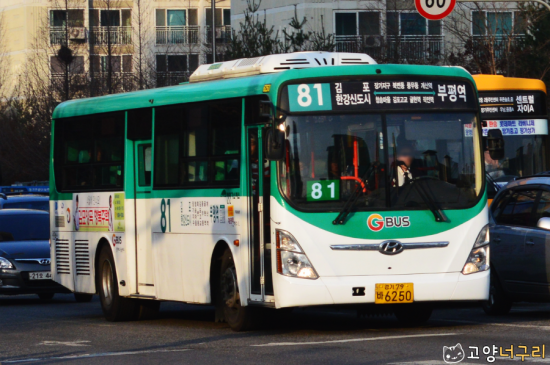 선진버스 81번 New Super Aero City F/L[6250] : 네이버 블로그