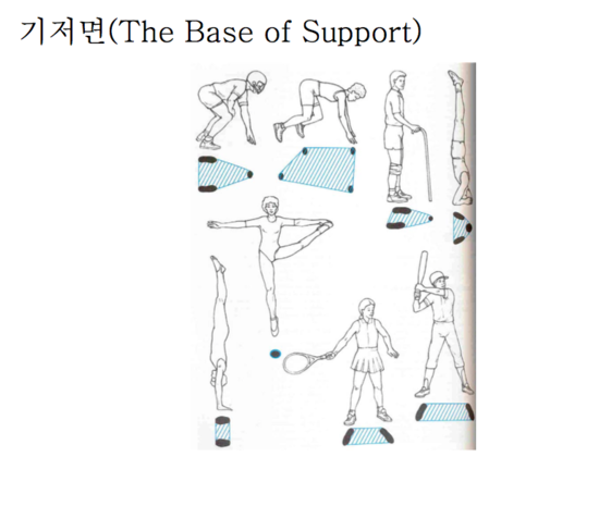 인체무게중심 The Center Of Gravity 알아보기무게중심과 안정성기저면동적밸랜스 네이버 블로그